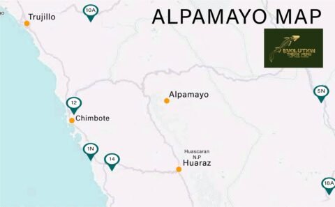 Alpamayo Peru Guide: History, Hiking, Facts & Tours