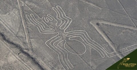 Nazca Lines Peru Guide: Tours, Facts & History